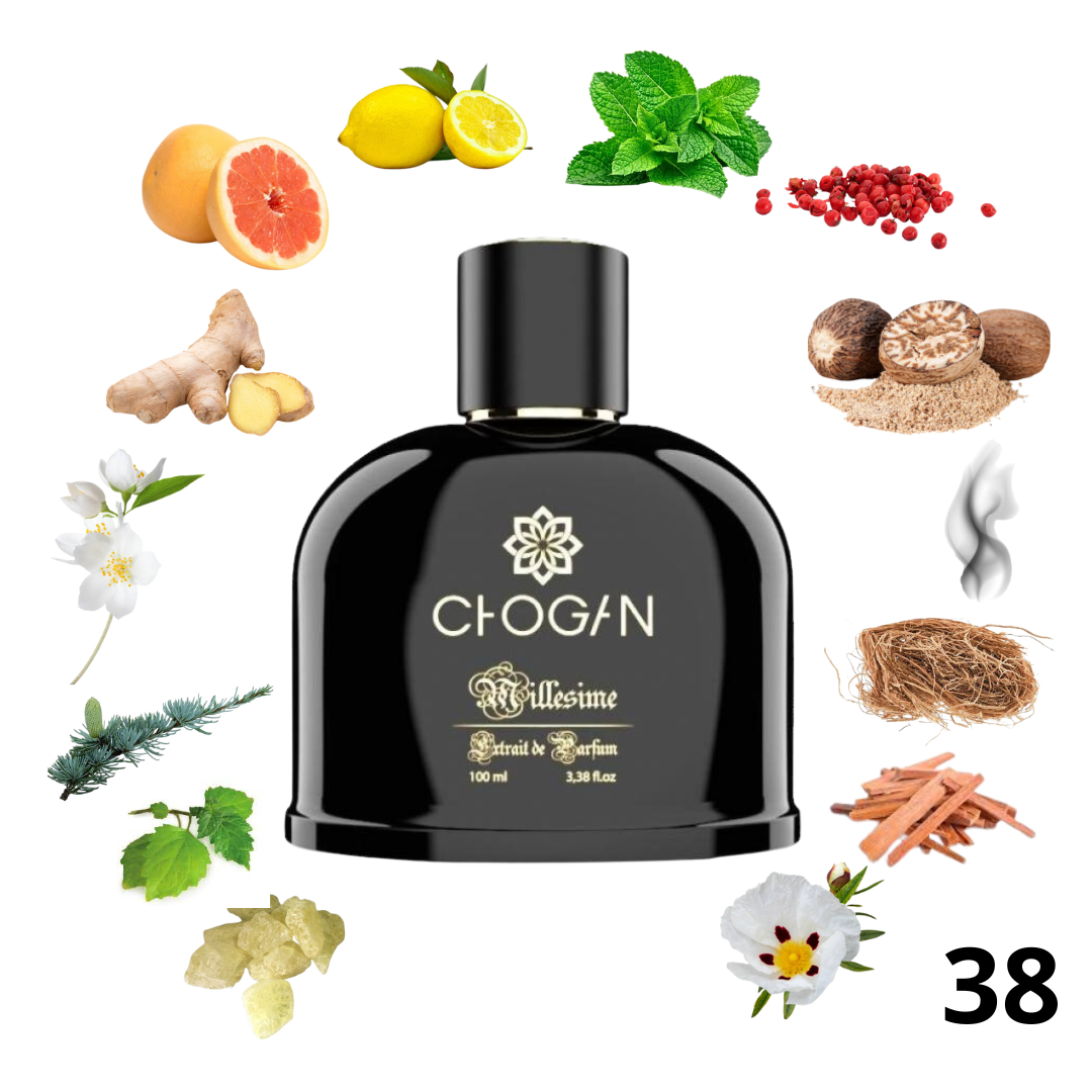 CHOGAN Inspired by Bleu de Chanel by Chanel wolność i elegancj